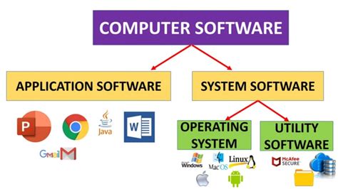 Types Of Software In Computer