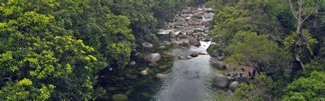 Daintree Rainforest World Heritage Listed Wilderness Area