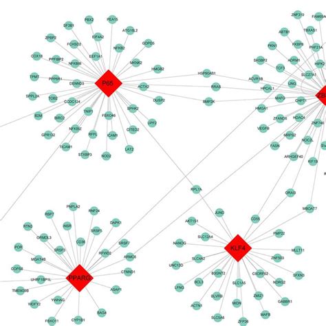 Transcription Factor Regulatory Network For The Genes In The Blue Download Scientific Diagram