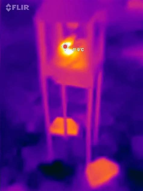 Robotic Rabbits Are Deployed In Florida Python Hot Spots To Fight Snake Explosion