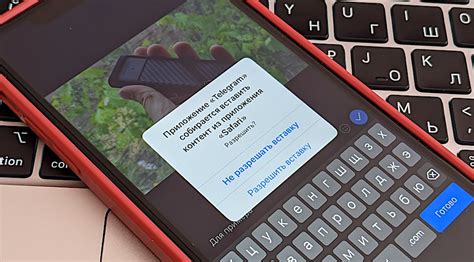 Как отключить запросы «Разрешить вставку из… на Iphone и Ipad