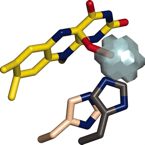Structure Of The Monooxygenase Component Of A Two Component Flavoprotein Monooxygenase Pnas
