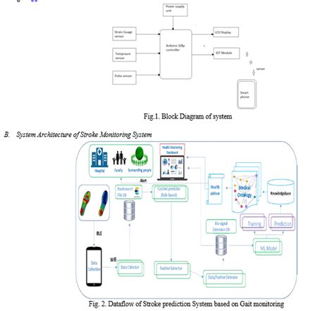 Review On Analysis And Optimization Of Gait Stroke Detection Using