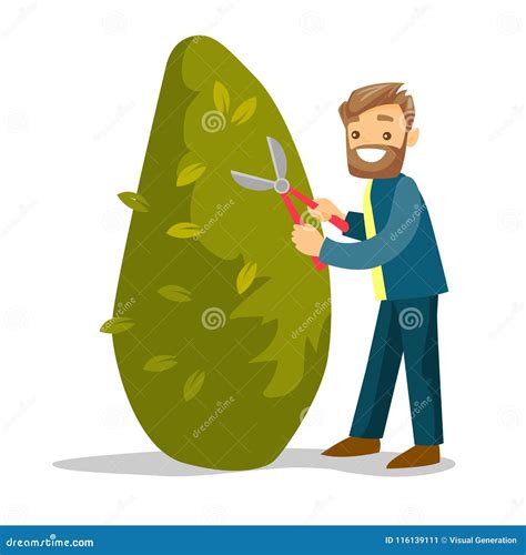 A White Man Gardener Cutting A Tree With Scissors Stock Vector Illustration Of Male Bush