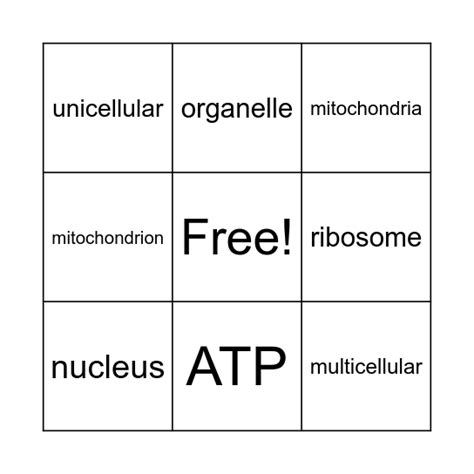 Cell Structure Bingo Bingo Card