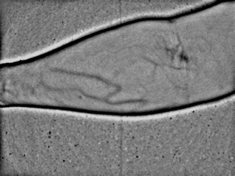 A Fast Simple And Powerful Contrast Enhancement Algorithm For Image