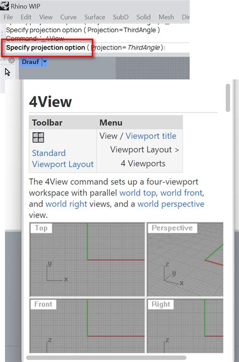 Bug 4view Asks For Specify Projection Option Serengeti Rhino Wip Mcneel Forum