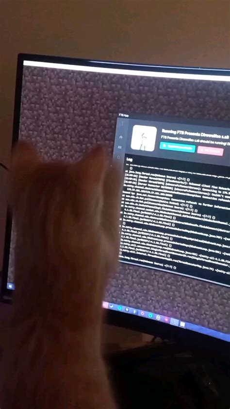 Oc Kitten Following Mouse Cursor On Screen Raww