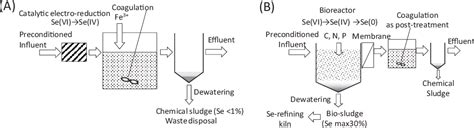Figure 1 From Biotreatment Of Selenium Refinery Wastewater Using Pilot Scale Granular Sludge And