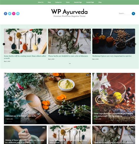 Starter Demos Wp Mag Plus