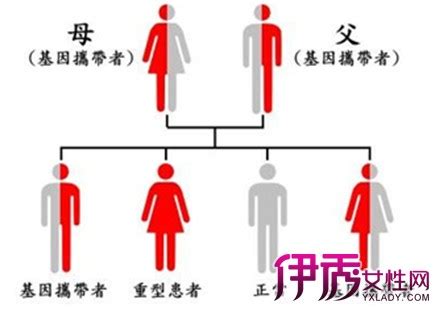 地中海贫血遗传规律图了解地中海贫血遗传规律 专家解答常见问题强预防 伊秀健康 yxlady