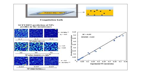 Predicting Nanoparticle Arrangement In Membranes Formed By Nonsolvent