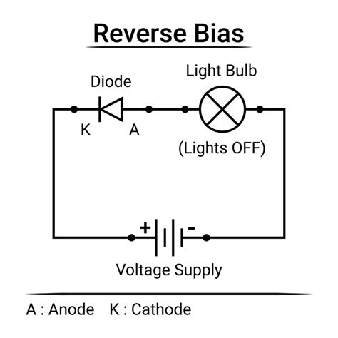 Premium Vector Reverse Bias Circuit Diagram