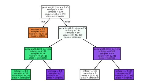 Getting Started With Decision Trees Concepts Visualisation And Practical Implementation In Python