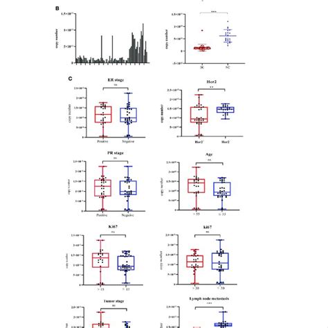 Characterization Of Exosomes Extracted Using Three Exosome Extraction Download Scientific