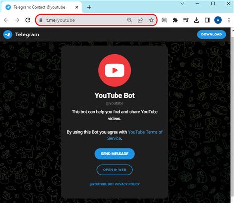 Telegram Youtube Downloaders
