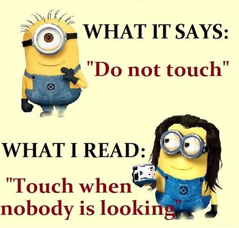 Lazy Minion Quotes QuotesGram