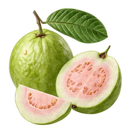 High Quality Fresh Guava With Natural Details Guava Fresh Guava Ripe