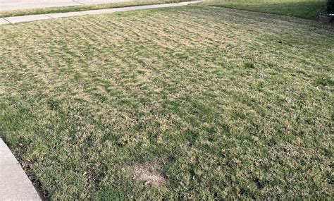 This Is When Bermuda Grass Goes Dormant In Each State And Usda Zone
