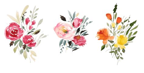 고립 된 수채화 꽃 장식 세트 웨딩 아름다운 식물의 Png 일러스트 및 벡터 에 대한 무료 다운로드 Pngtree