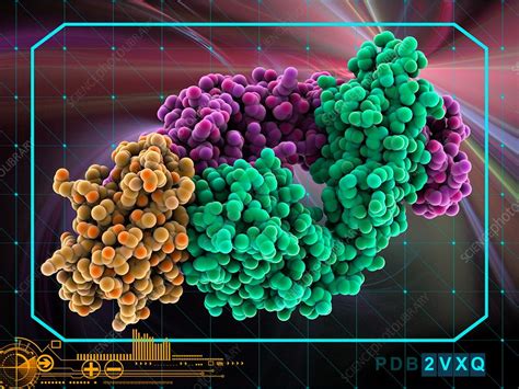 Grass Pollen Allergen Molecule Stock Image C0358691 Science