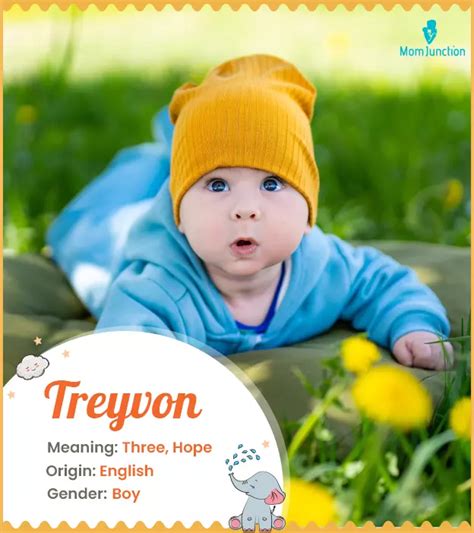 Explore Von Meaning Origin Popularity