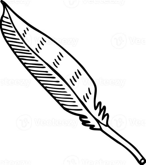 Schwarz Weiß Cartoon Feder 45173904 Png