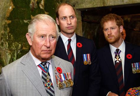 Prince Harry And Prince William Asked Dad Charles Not To Marry Camilla