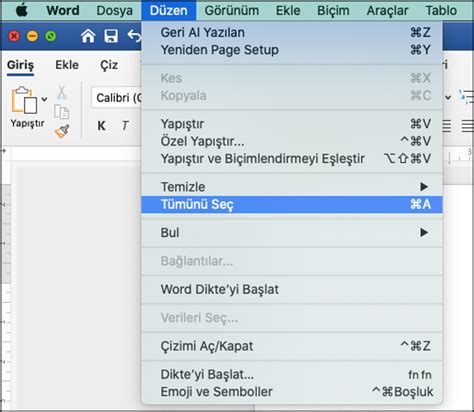 Microsoft Word 2022 Ile Akademik Metin Biçimlendirme