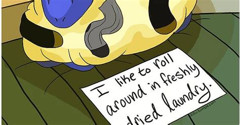 Pokeshaming Part 2 Imgur