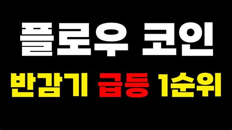플로우 코인 반감기 급등 1순위 Youtube