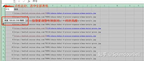 Excel 链接url批量转换成图片，一键转换 知乎
