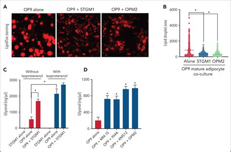 多发性骨髓瘤细胞在脂肪细胞中诱导脂肪分解并通过脂肪酸转运蛋白摄取脂肪酸 细胞共培养 仿生动态共培养系统