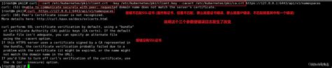 Kubernetes认证授权静态pod网关apiserver底层都是restful接口useraccount三种访问方式和打开外网