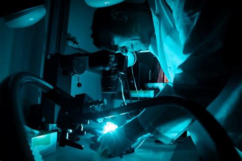 Could A Bacterial Fingerprint Solve A Sexual Assault Case The Washington Post