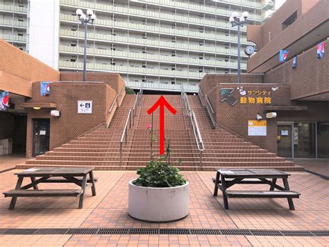 交通案内 青山クリニック 内科整形外科 板橋区中台 志村三丁目駅より徒歩10分