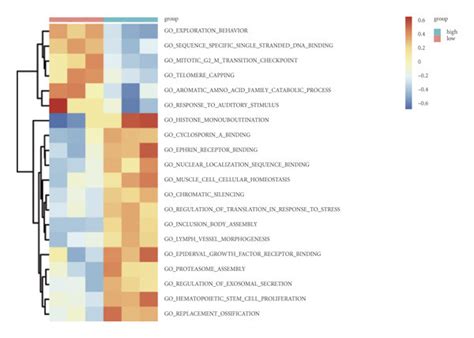 The Gsva Of The Candidate Hub Genes There Existed Gsva Derived