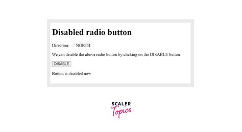 Radio Button In HTML Scaler Topics Radio Button In HTML Scaler Topics