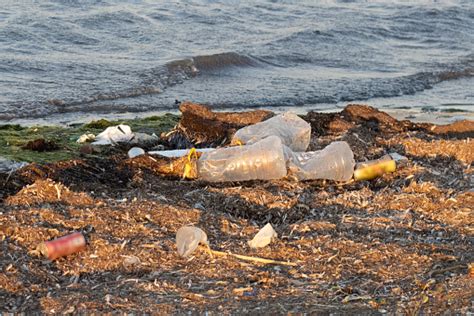 다양한 쓰레기와 더러운 모래 해변에 남아있는 플라스틱 병 0명에 대한 스톡 사진 및 기타 이미지 0명 가방 금속 Istock