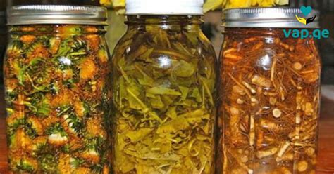 ჩვენი რჩევაა ეს სასწაულმოქმედი ნაყენი ყველას ჰქონდეს ოჯახში Vap Ge