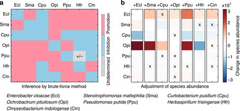 Inferring Interaction Types In A Synthetic Community Of Maize Roots Download Scientific Diagram