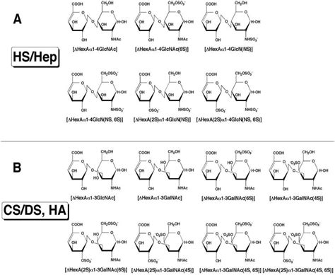 Figure 1 Structure Of Unsaturated Disaccharides Glycoscience