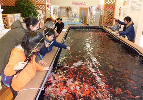茨城県の釣り堀のおすすめ子供向けニジマスがいるその場で食べる等も エンタメLab