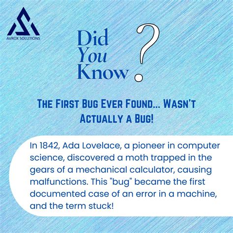 Avrox Solutions On Linkedin Backend Coding Funfact Bugs Avroxsolutions
