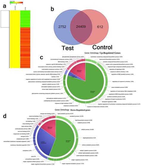 Genome Wide Expression Analysis Using Microarray The Panicles Of Sp Download Scientific