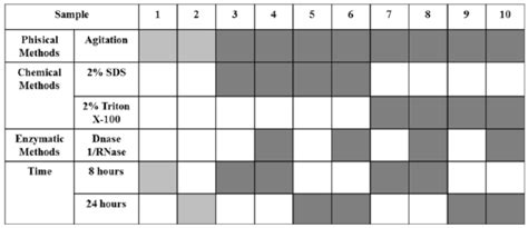 First Set Of Decellularization Protocols Different Physical Methods Download Scientific