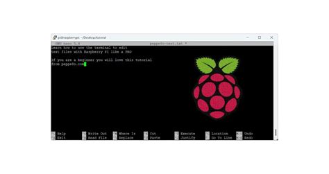 working with text files from raspberry pi terminal a beginners guide
