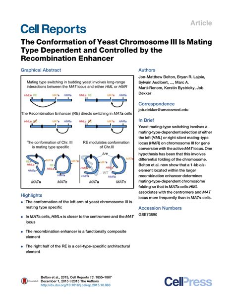 Pdf The Conformation Of Yeast Chromosome Iii Is Mating Type Dependent