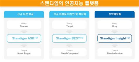 더벨 국내 최고 자본시장capital Markets 미디어
