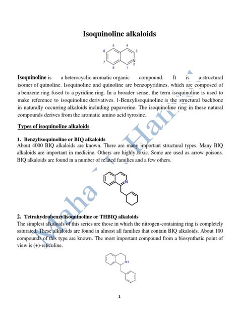 isoquinoline lec6 pdf pdf